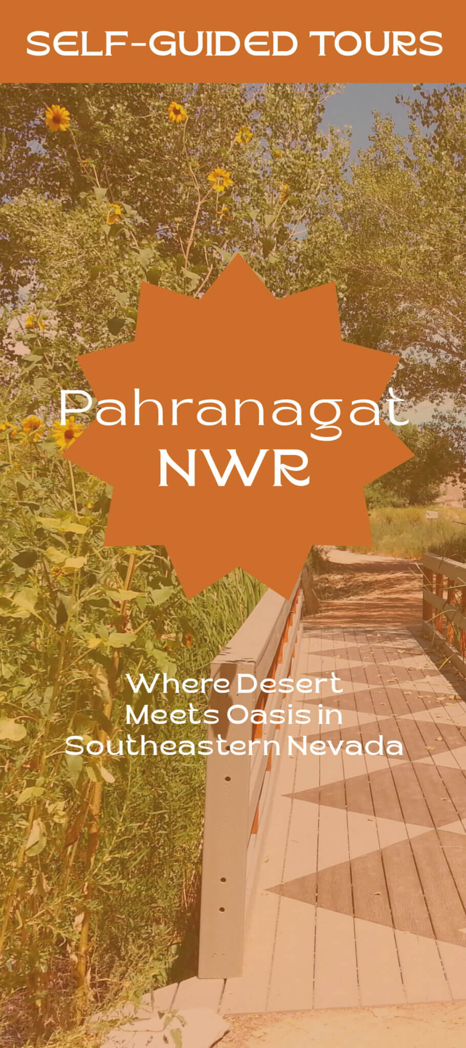 Pahranagat National Wildlife Refuge Self-Guided Tour - Visit Lincoln ...